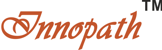 ITDOSE INFOSYSTEMS - Taking you beyond the limits.